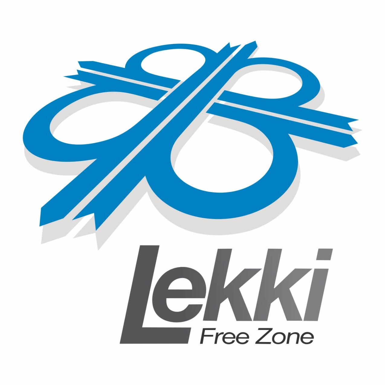 About Us – Lekki Worldwide Investments Limited,